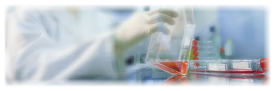 Viral Vector - Risk Assessment (version 1.0)